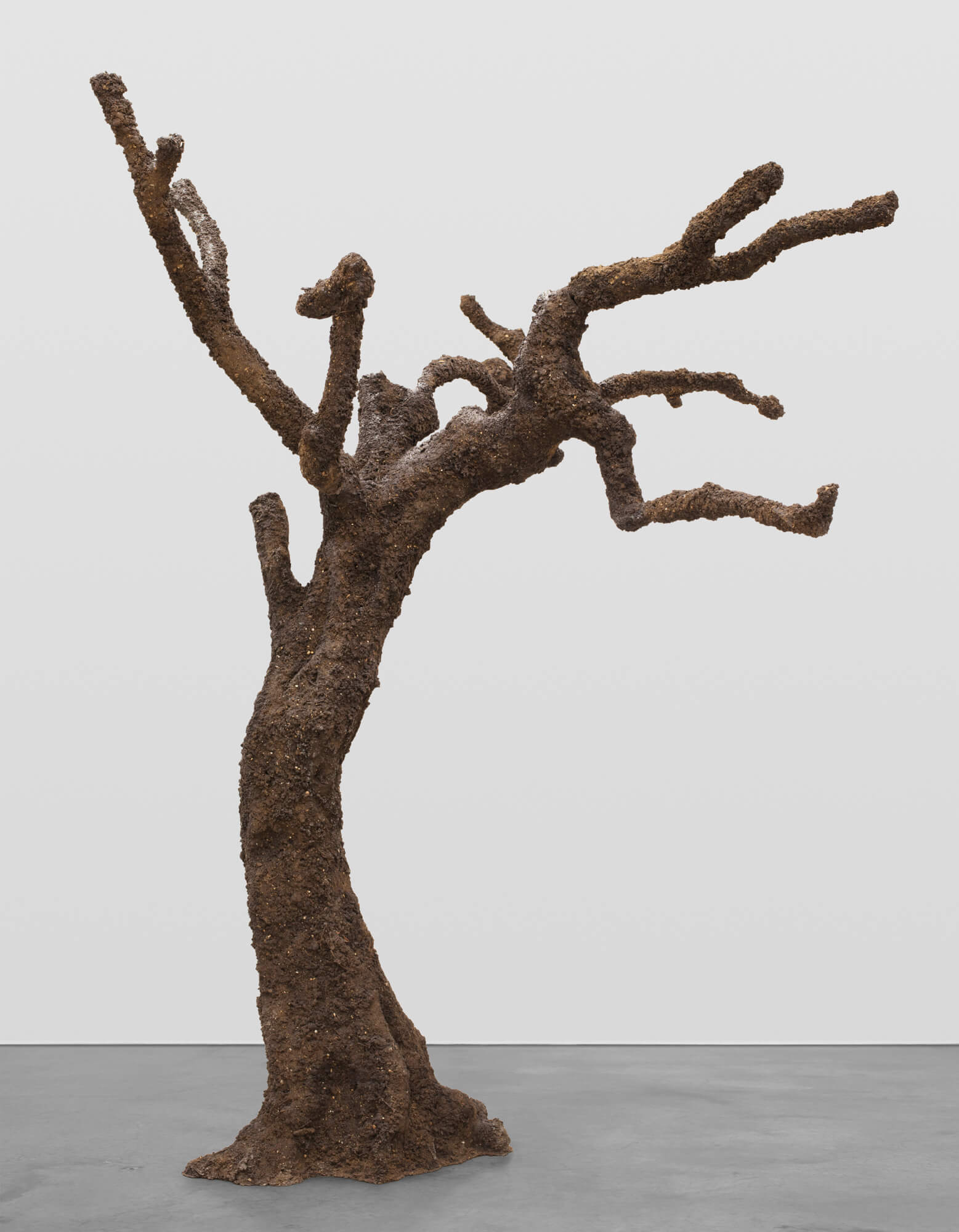 the sunflower | UGO RONDINONE